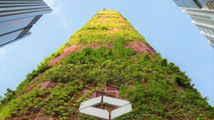 Inside Singapore’s ‘city in a garden’ vision