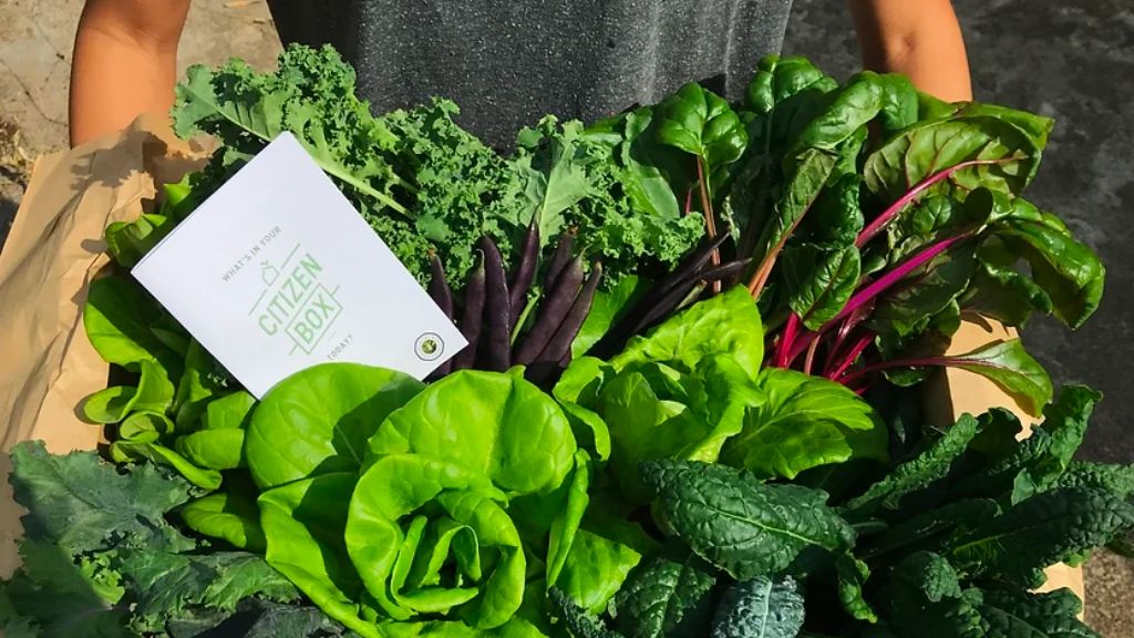 Food security from the ground up: A community approach