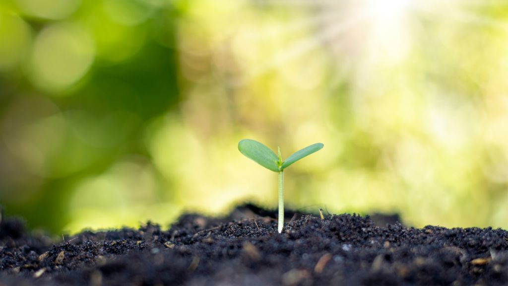 How a growth mindset helps Singapore's GovTech agency stay ahead of the ...